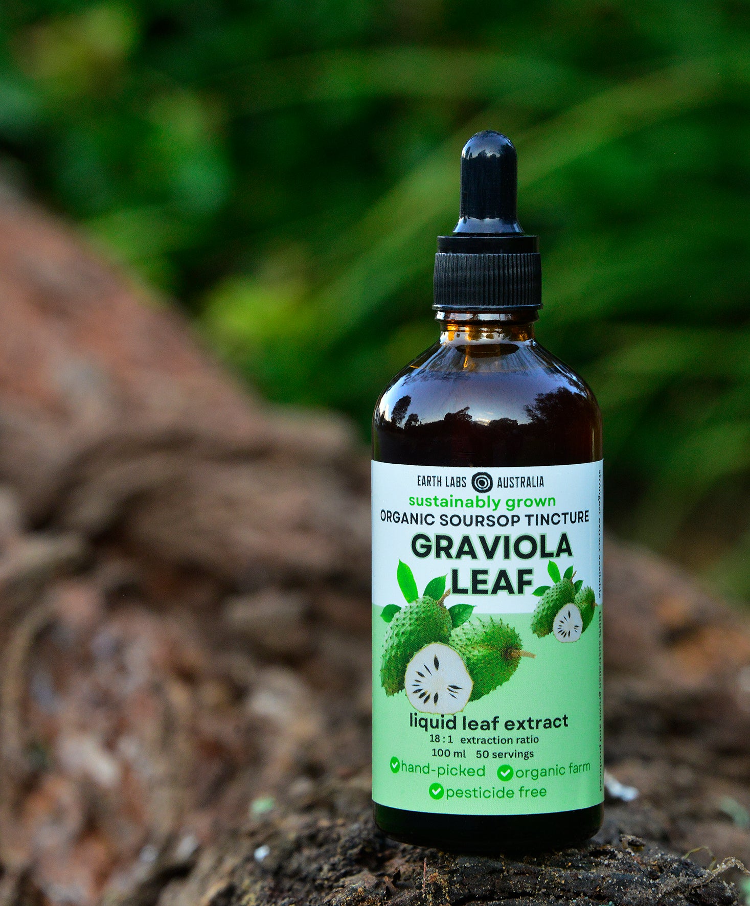 Graviola Leaf Herbal Tincture 100 ml – Earth Labs Australia